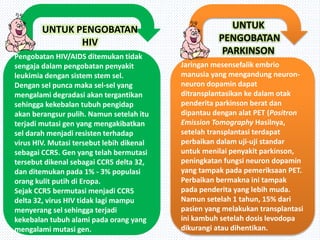 STRUKTUR DAN JARINGAN HEWAN | PPTX