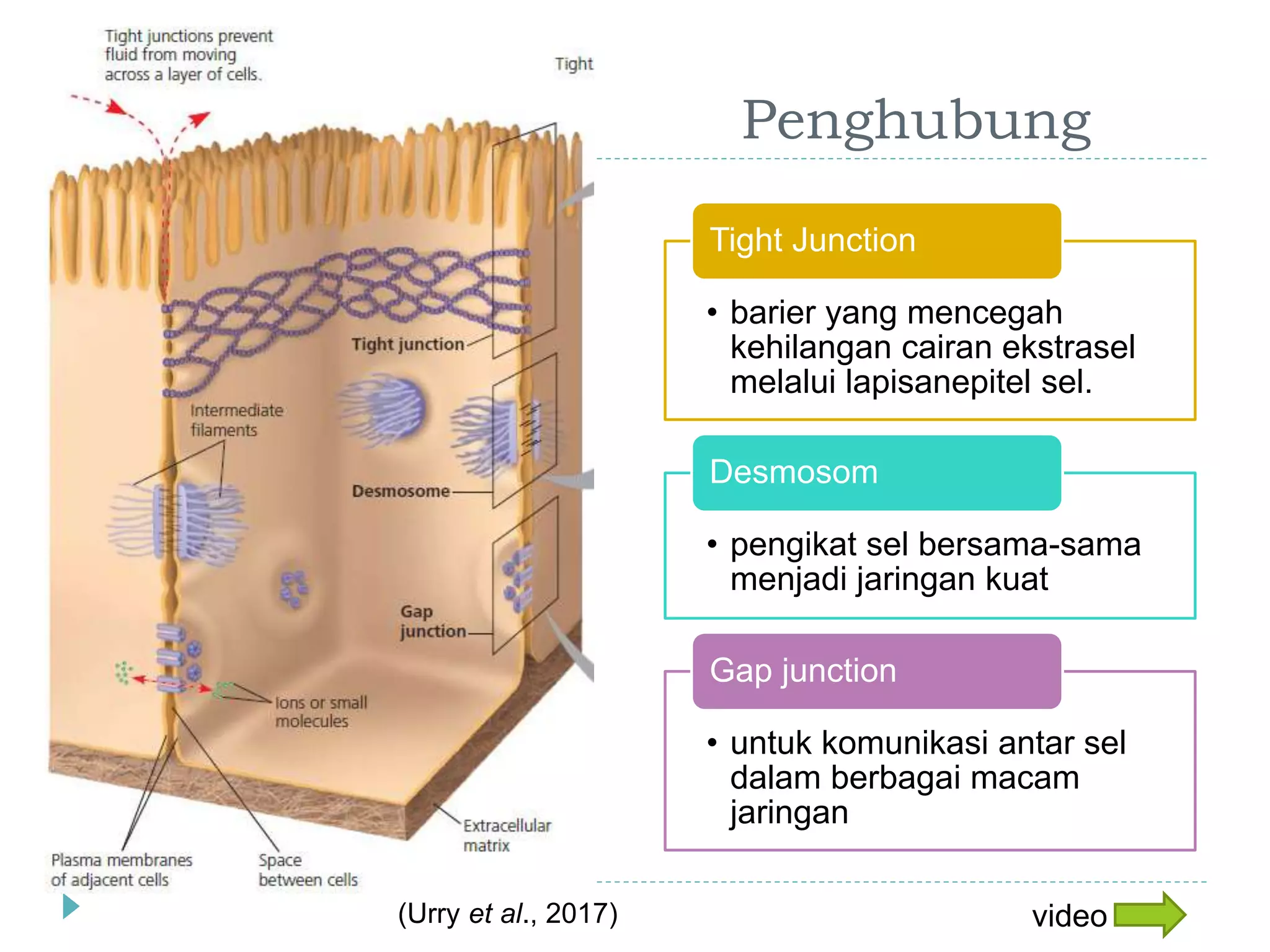 Struktur dan jenis sel | PPTX
