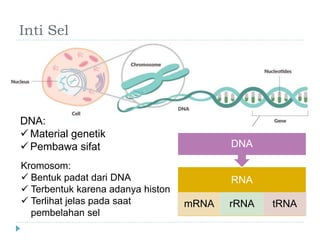 Struktur dan jenis sel | PPTX