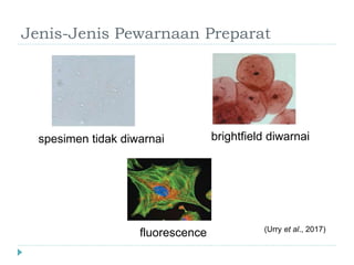 Struktur dan jenis sel | PPTX