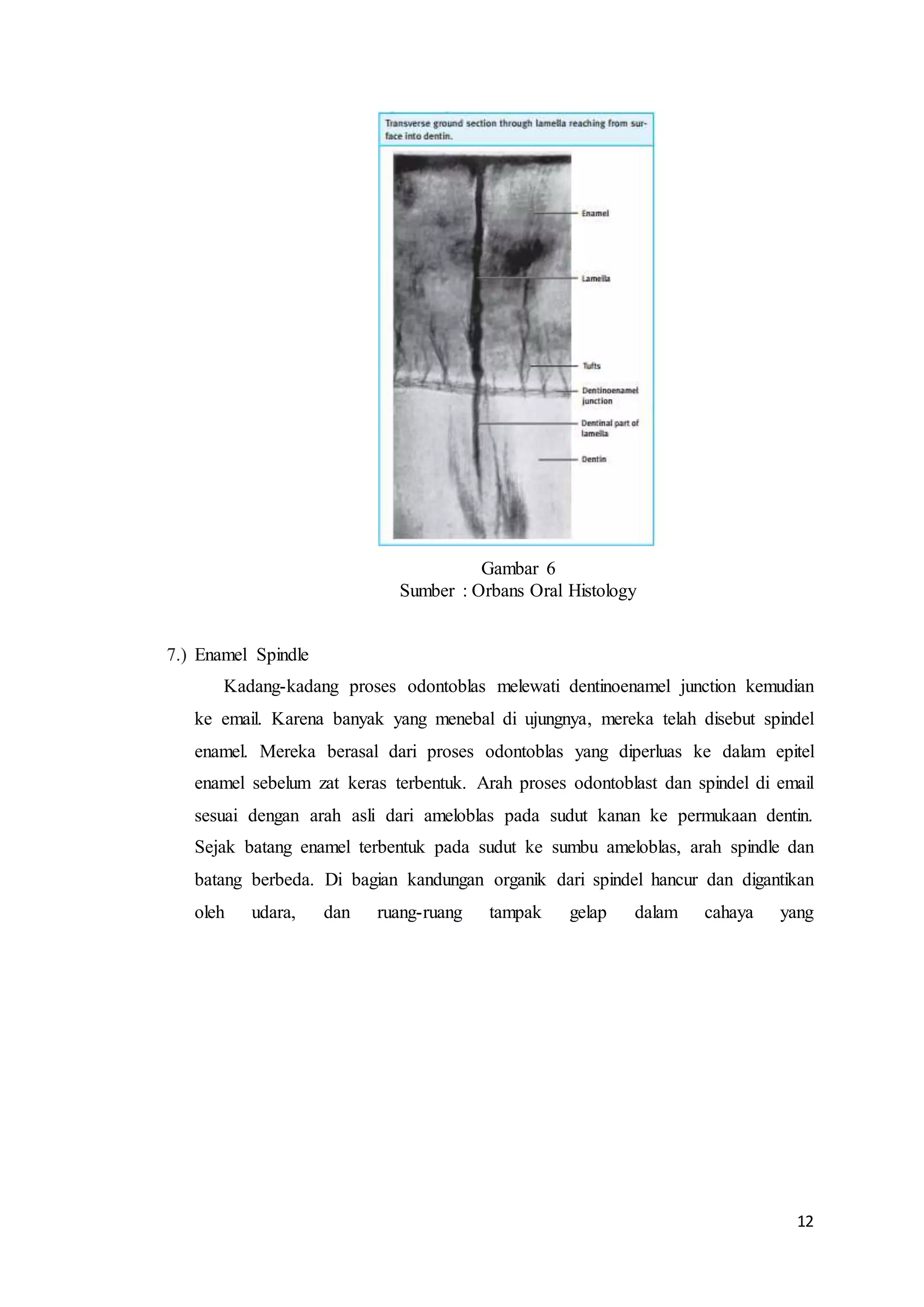 Struktur dan kelainan enamel | DOCX