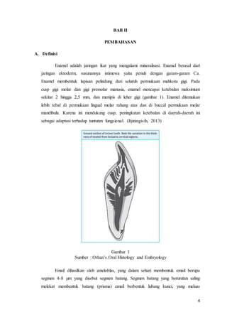 Struktur dan kelainan enamel | DOCX
