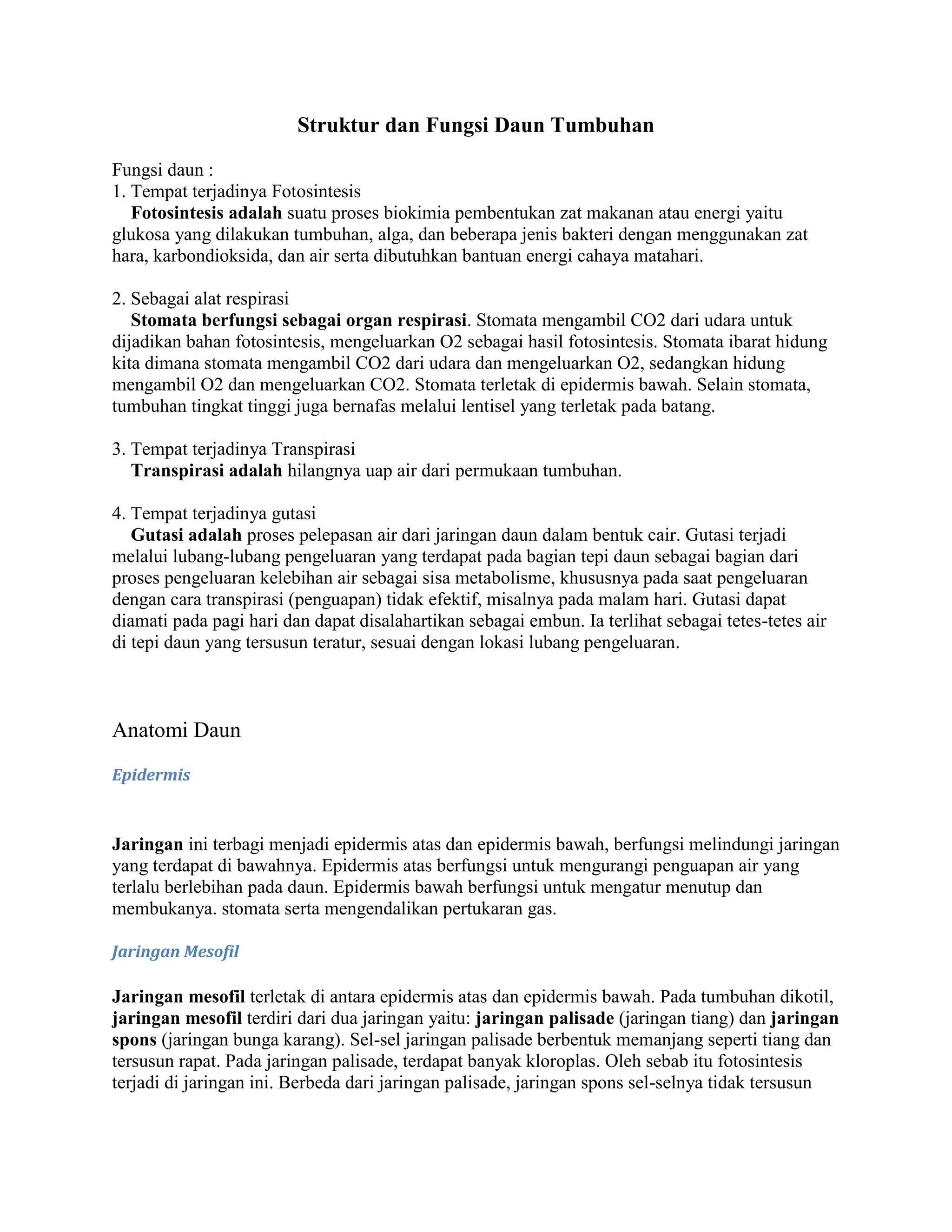 Struktur dan Letak Jaringan Tumbuhan | DOCX
