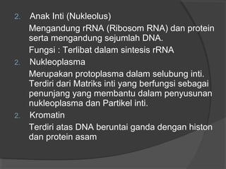 Struktur dan organel sel | PPT