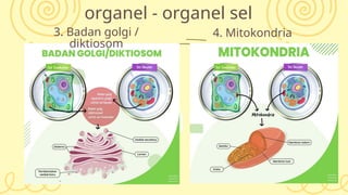 STRUKTUR DAN ORGANEL SEL TUMBUHAN DAN HEWAN | PPTX