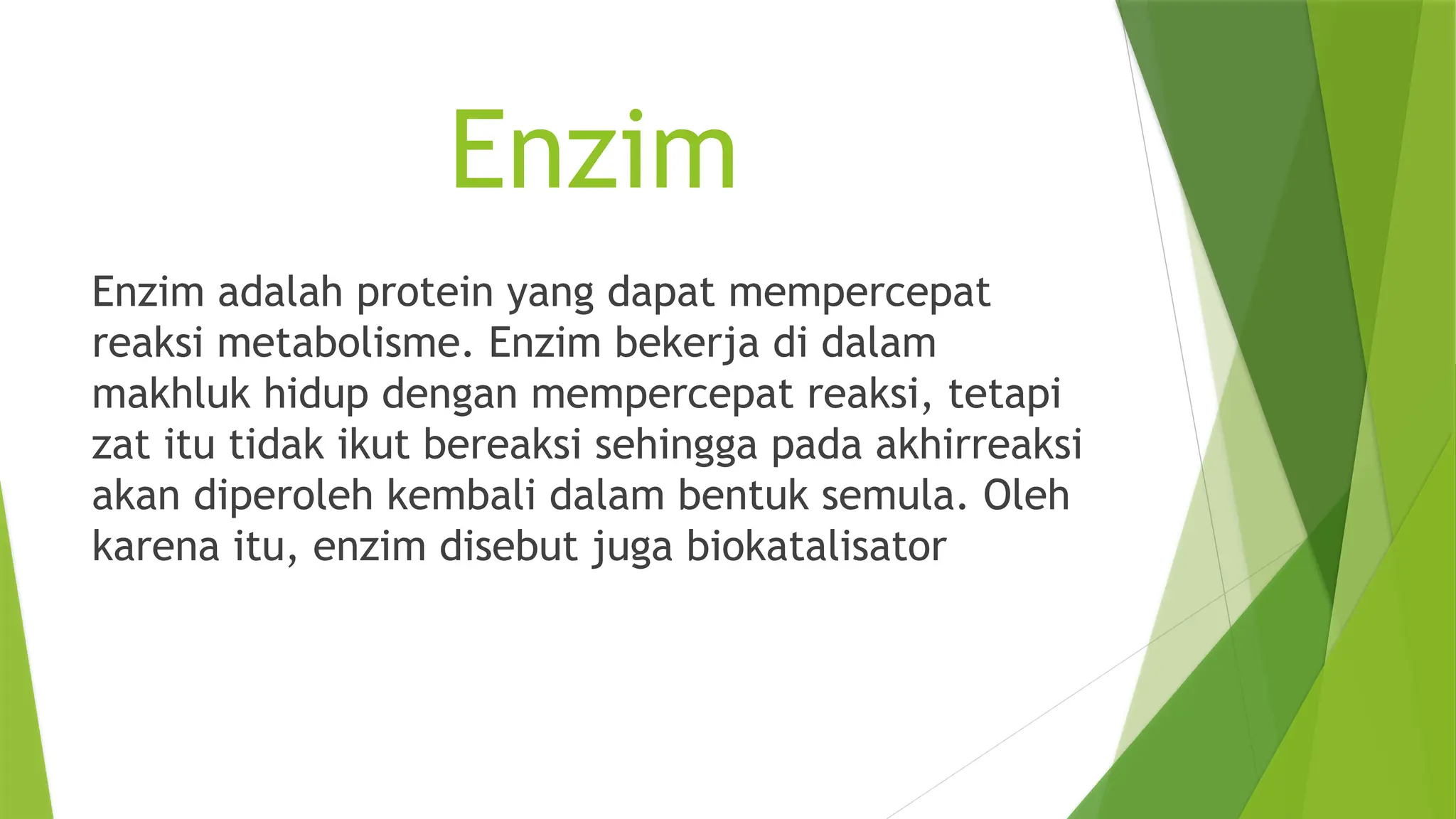 Struktur_dan_Peran_Enzim dalam tubuh manusia.pptx