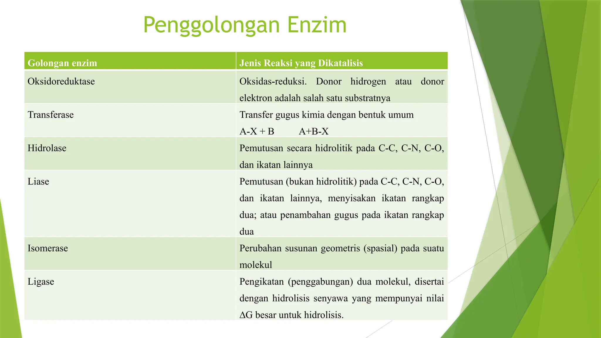 Struktur_dan_Peran_Enzim dalam tubuh manusia.pptx