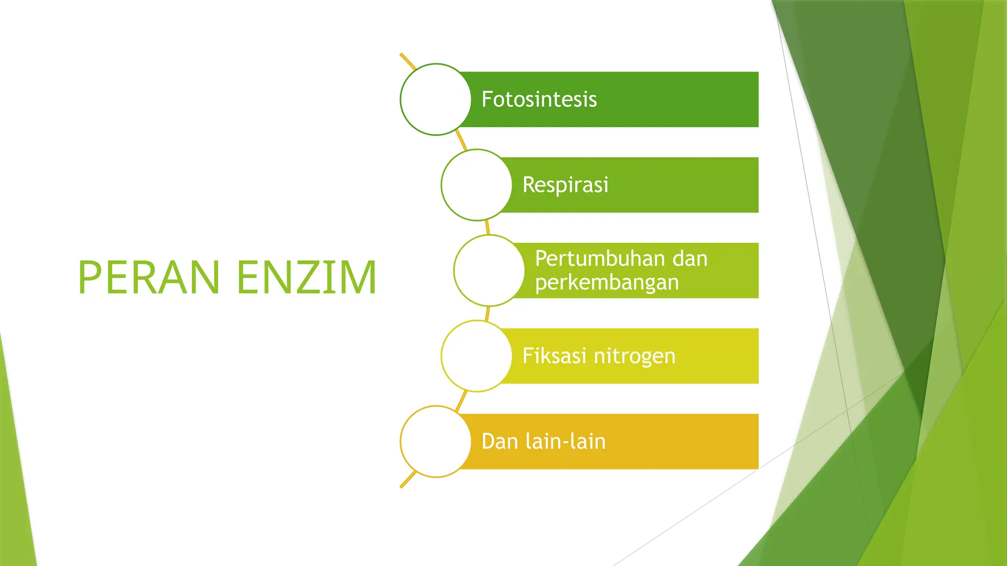 Struktur_dan_Peran_Enzim dalam tubuh manusia.pptx