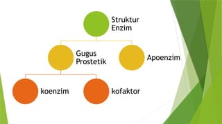 Struktur_dan_Peran_Enzim dalam tubuh manusia.pptx