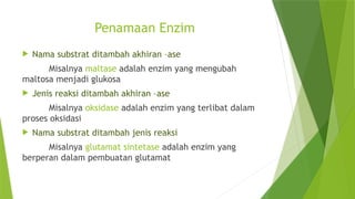 Struktur_dan_Peran_Enzim dalam tubuh manusia.pptx