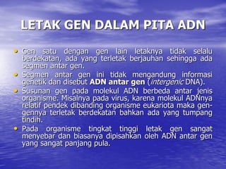 Struktur dan posisi gen | PDF