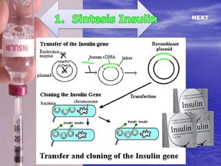 Struktur dan posisi gen | PDF