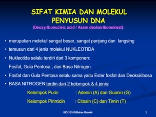Struktur dan posisi gen | PDF