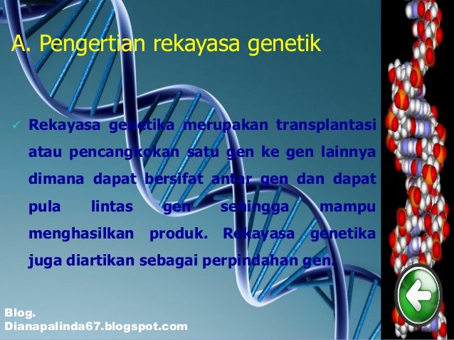 Struktur dan posisi gen