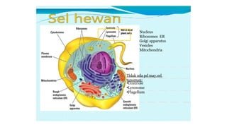 STRUKTUR DASAR SEL pada makhluk hidup.ppt