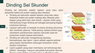 Struktur Dinding Sel.pptx