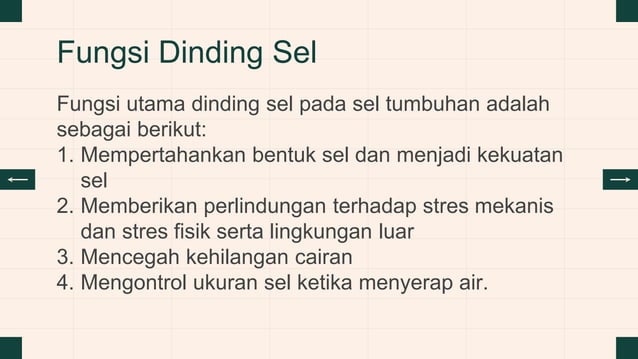 Struktur Dinding Sel.pptx