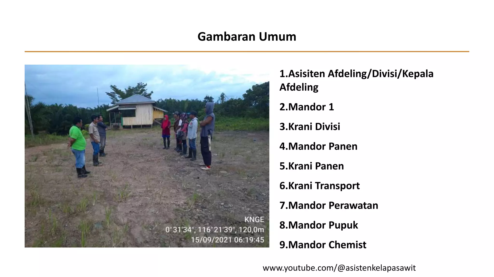 Struktur Divisi Perkebunan Kelapa Sawit.pptx