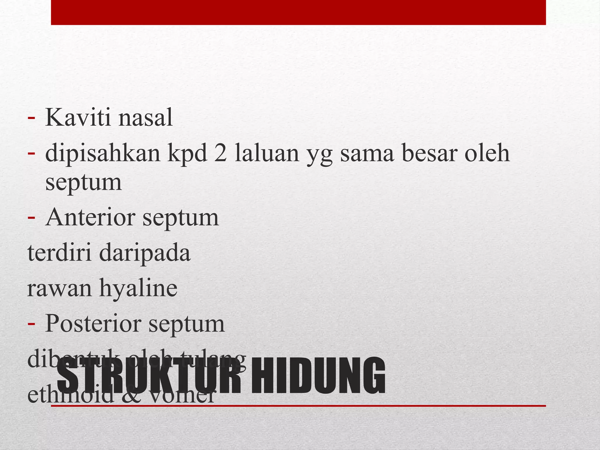 STRUKTUR & FISIOLOGI - HIDUNG & TEKAK | PPT
