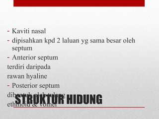 STRUKTUR & FISIOLOGI - HIDUNG & TEKAK | PPT