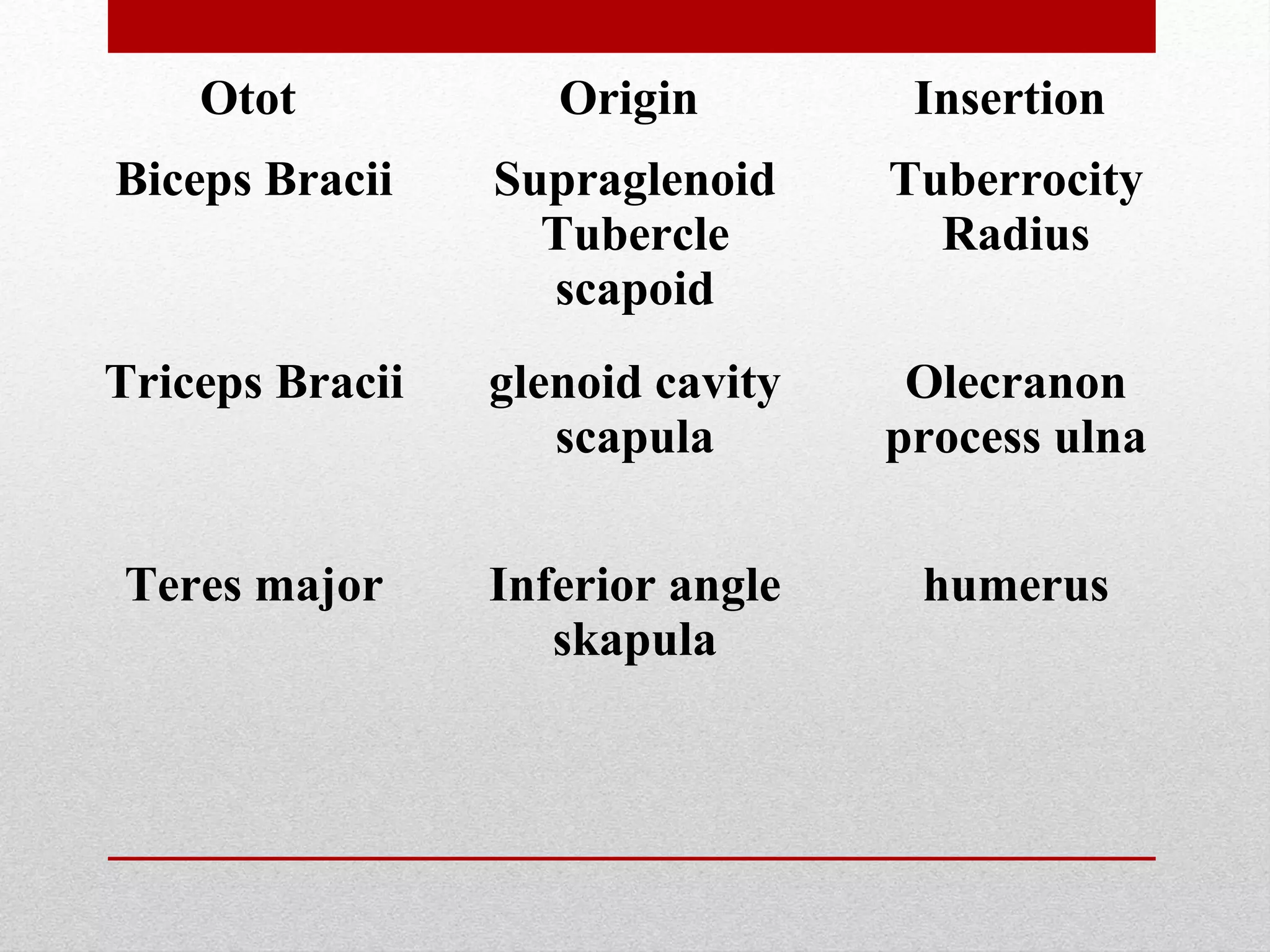 STRUKTUR & FISIOLOGI - OTOT | PPT