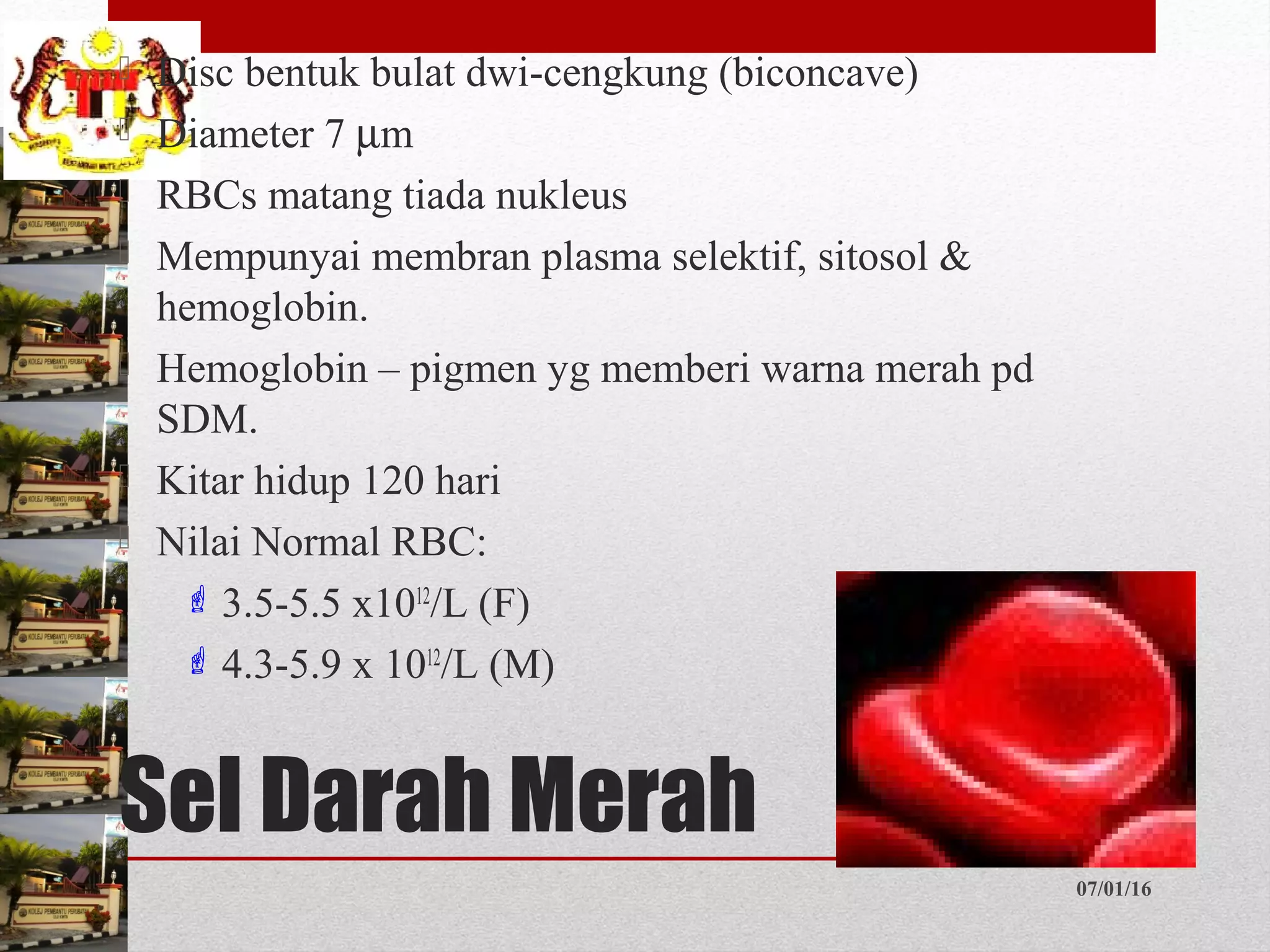 STRUKTUR & FISIOLOGI - SEL DARAH | PPT