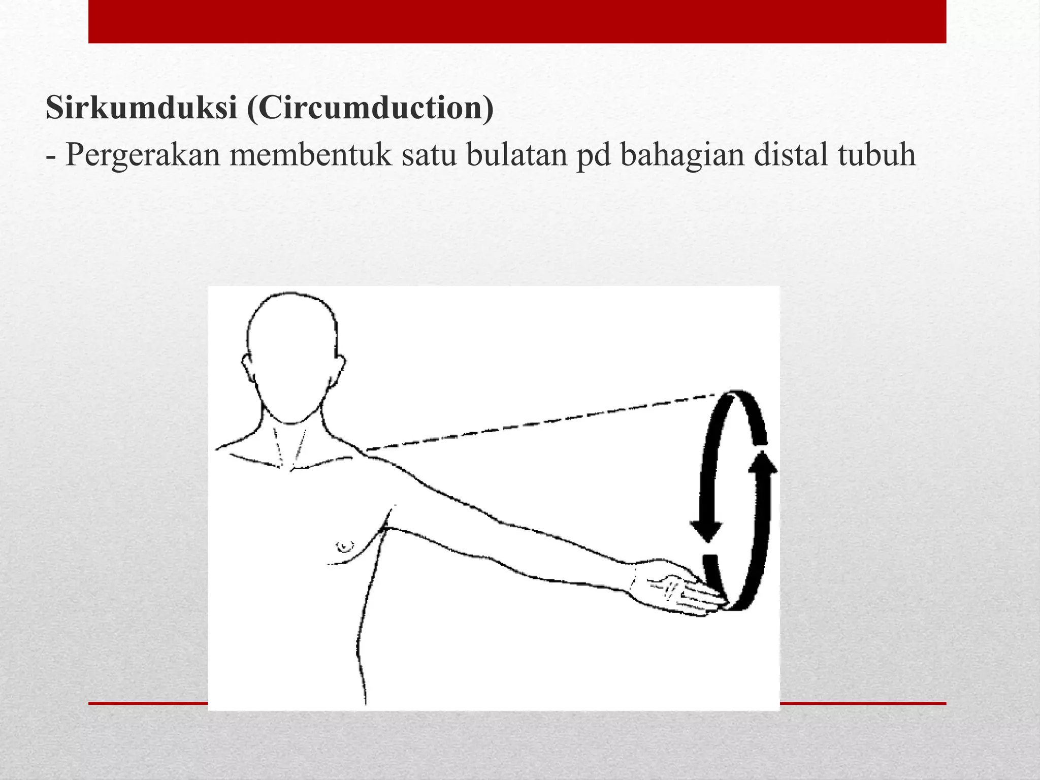 STRUKTUR & FISIOLOGI - SENDI | PPT