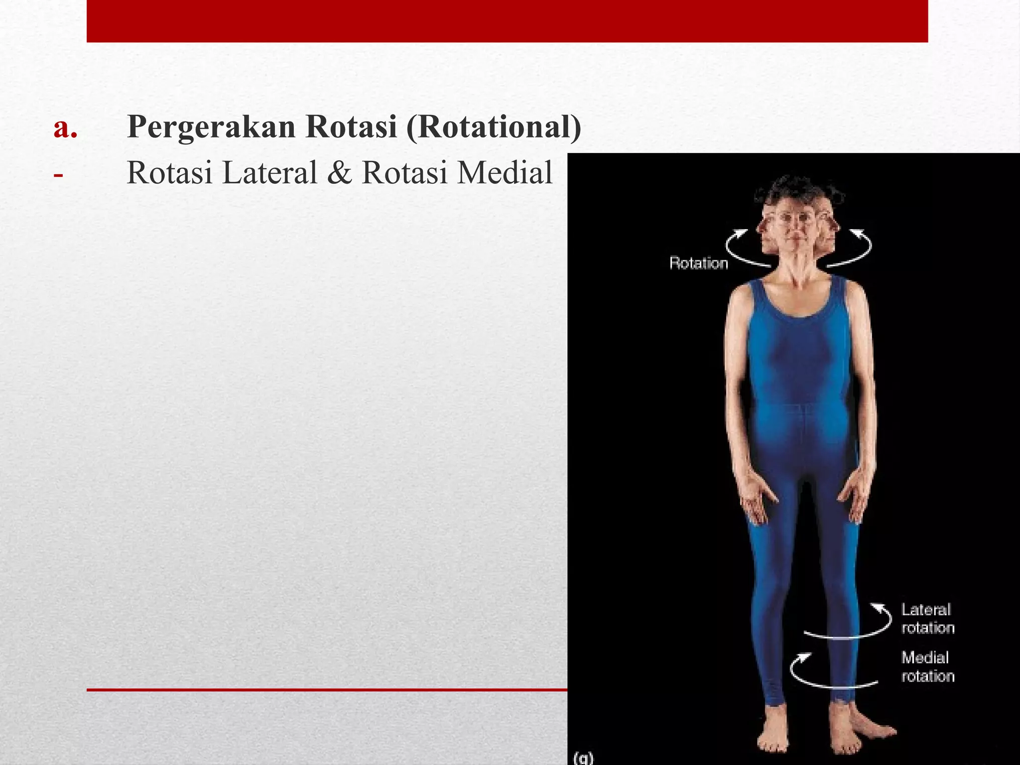 STRUKTUR & FISIOLOGI - SENDI | PPT