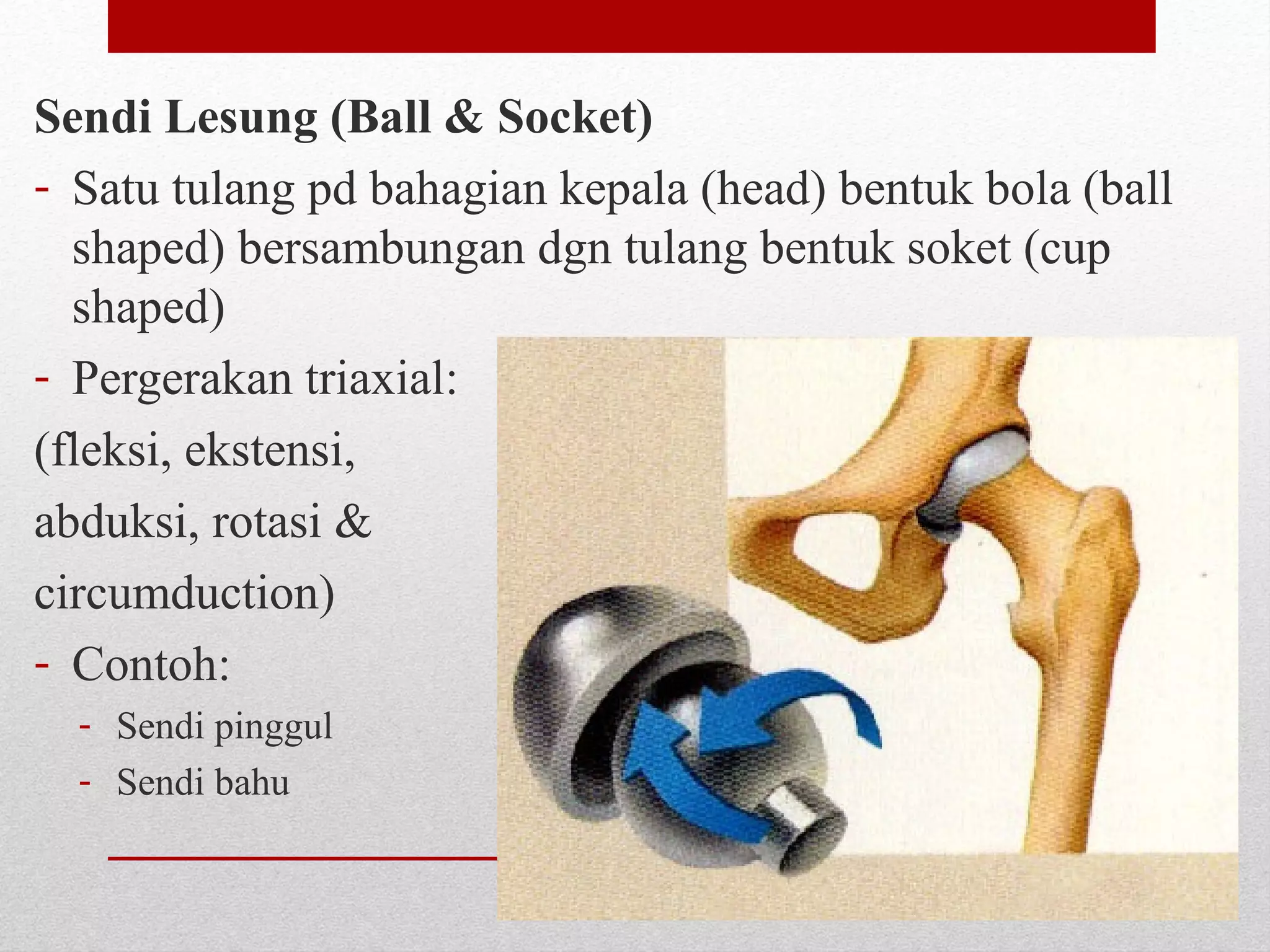STRUKTUR & FISIOLOGI - SENDI | PPT