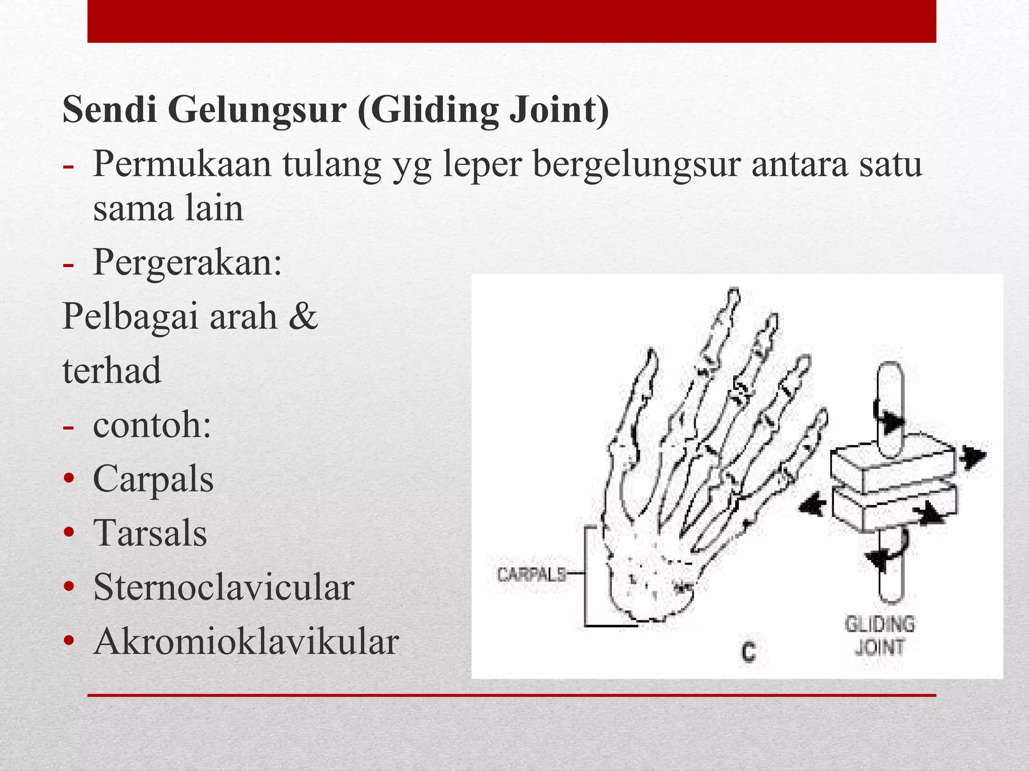 STRUKTUR & FISIOLOGI - SENDI | PPT