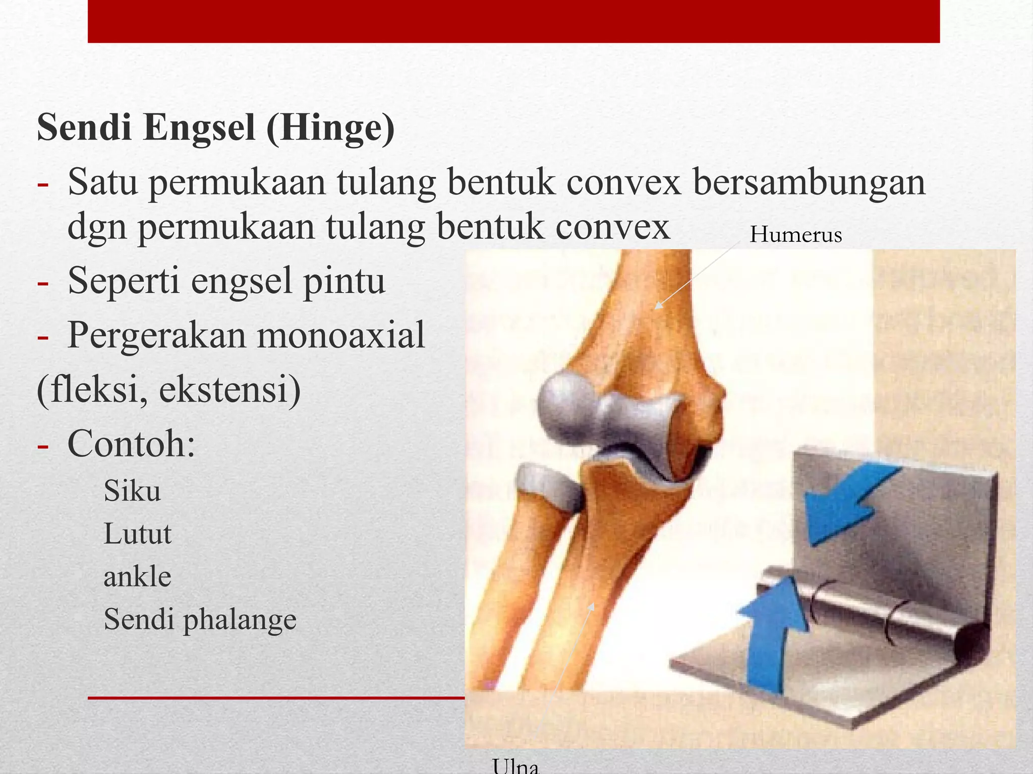 STRUKTUR & FISIOLOGI - SENDI | PPT