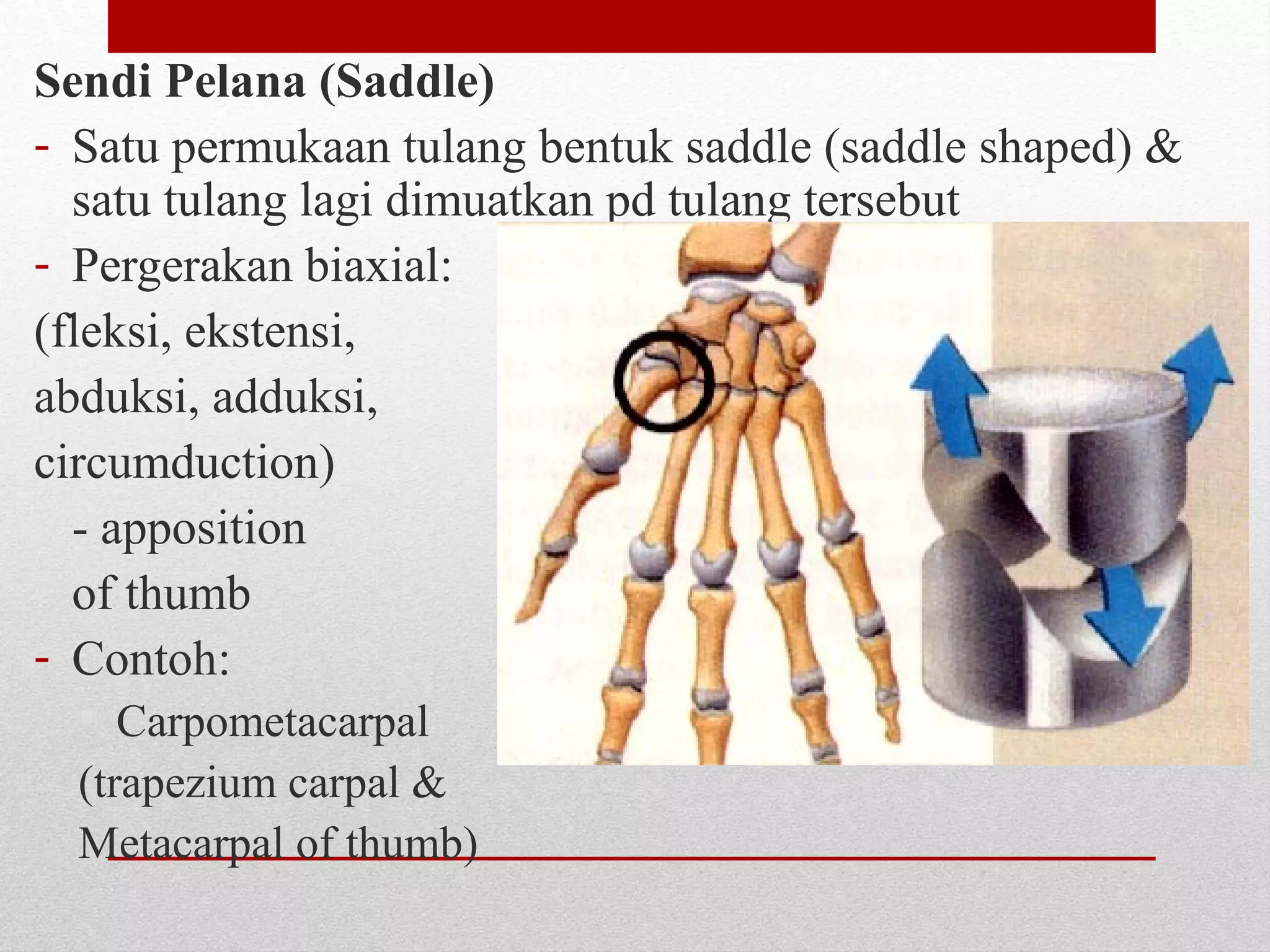 STRUKTUR & FISIOLOGI - SENDI | PPT