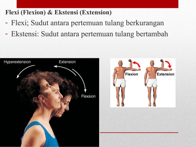 STRUKTUR & FISIOLOGI - SENDI | PPT
