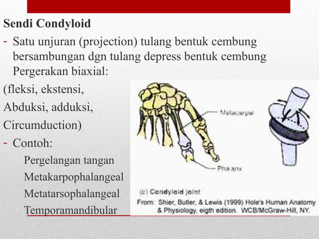 STRUKTUR & FISIOLOGI - SENDI | PPT