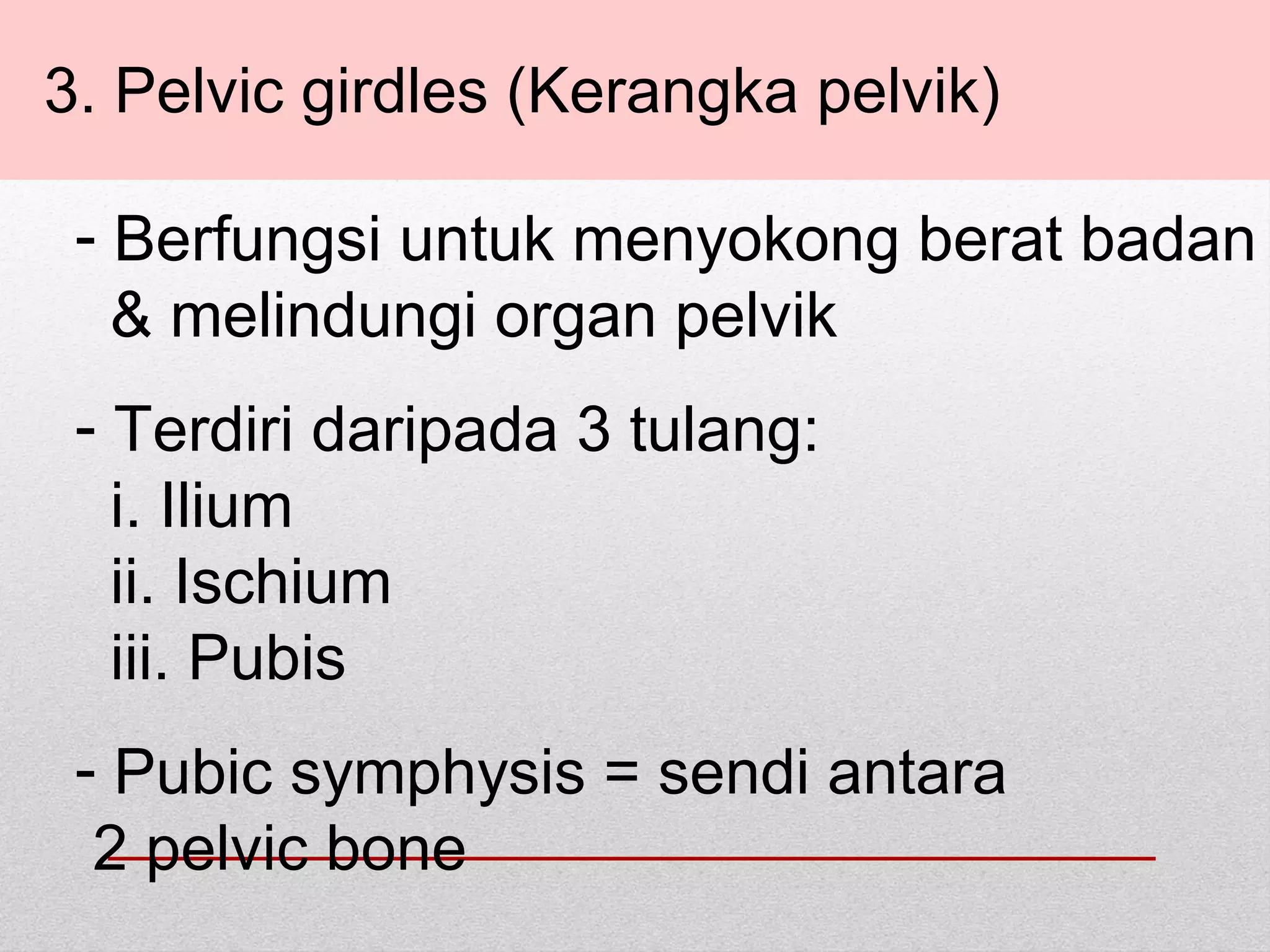 STRUKTUR & FISIOLOGI - SKELETAL | PPT
