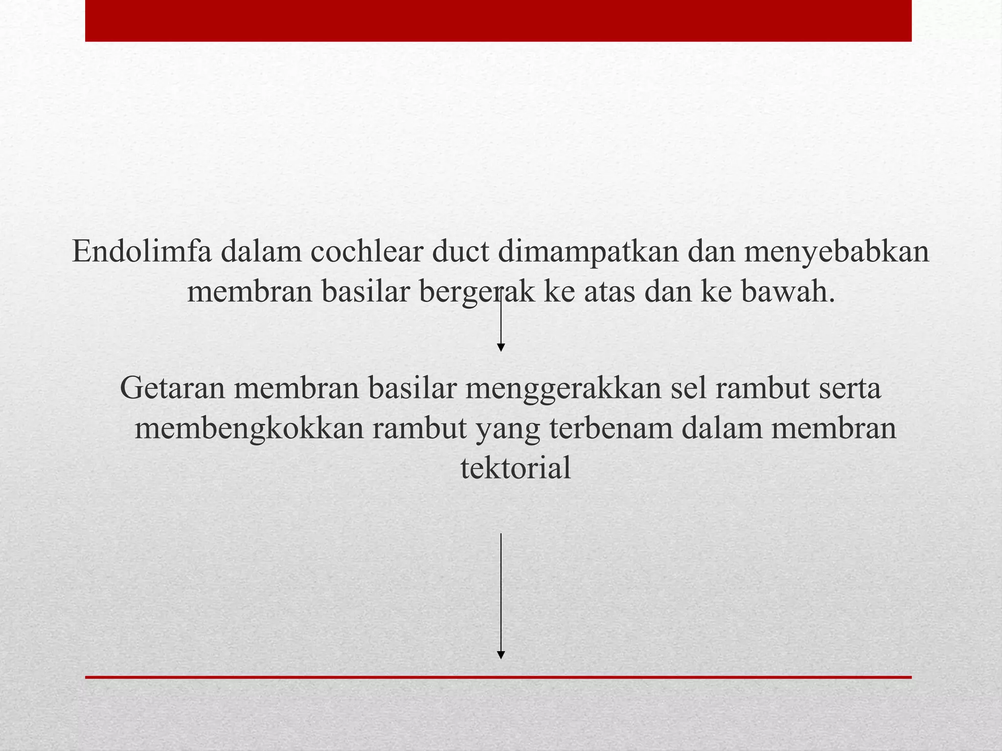 STRUKTUR & FISIOLOGI - TELINGA | PPT