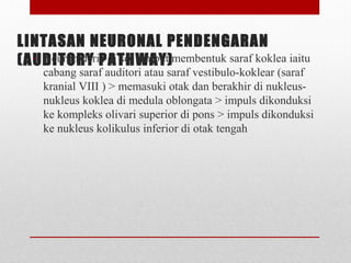 STRUKTUR & FISIOLOGI - TELINGA | PPT