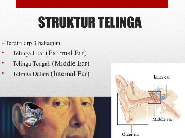 STRUKTUR & FISIOLOGI - TELINGA | PPT