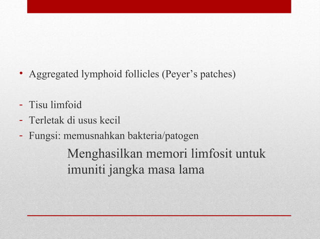 STRUKTUR & FUNGSI - SISTEM LIMFATIKA | PPT