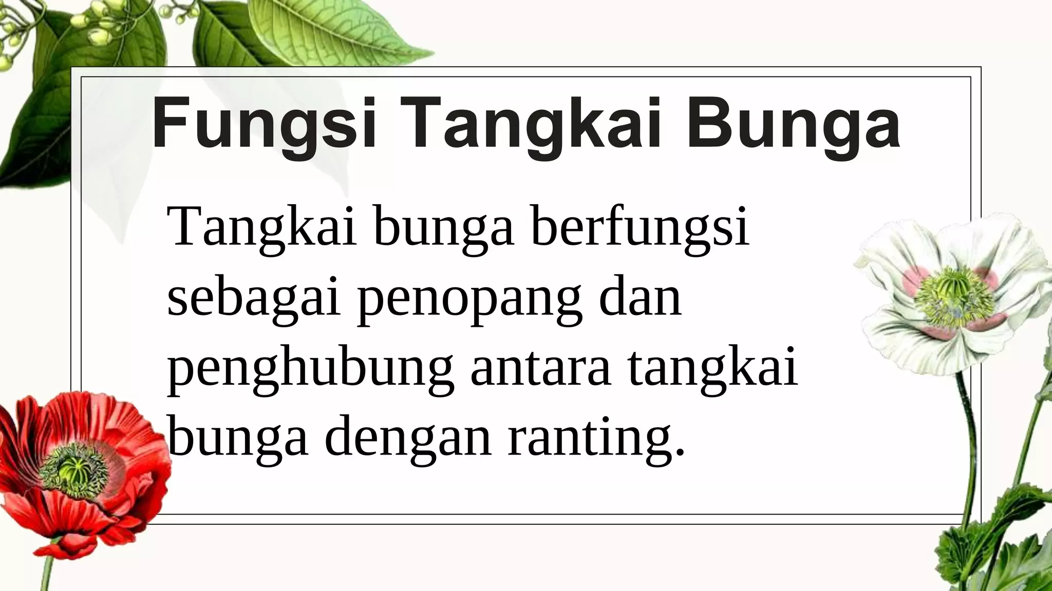 Struktur Dan Fungsi Bunga | PPTX