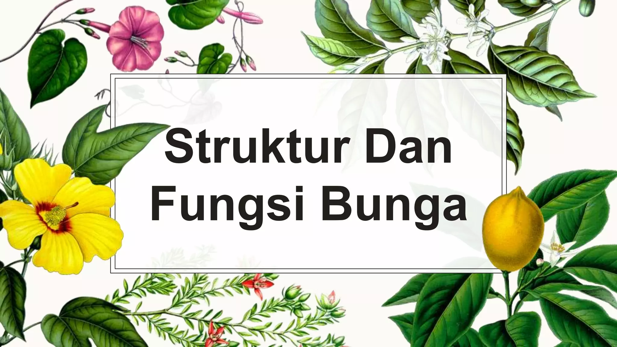 Struktur Dan Fungsi Bunga | PPTX
