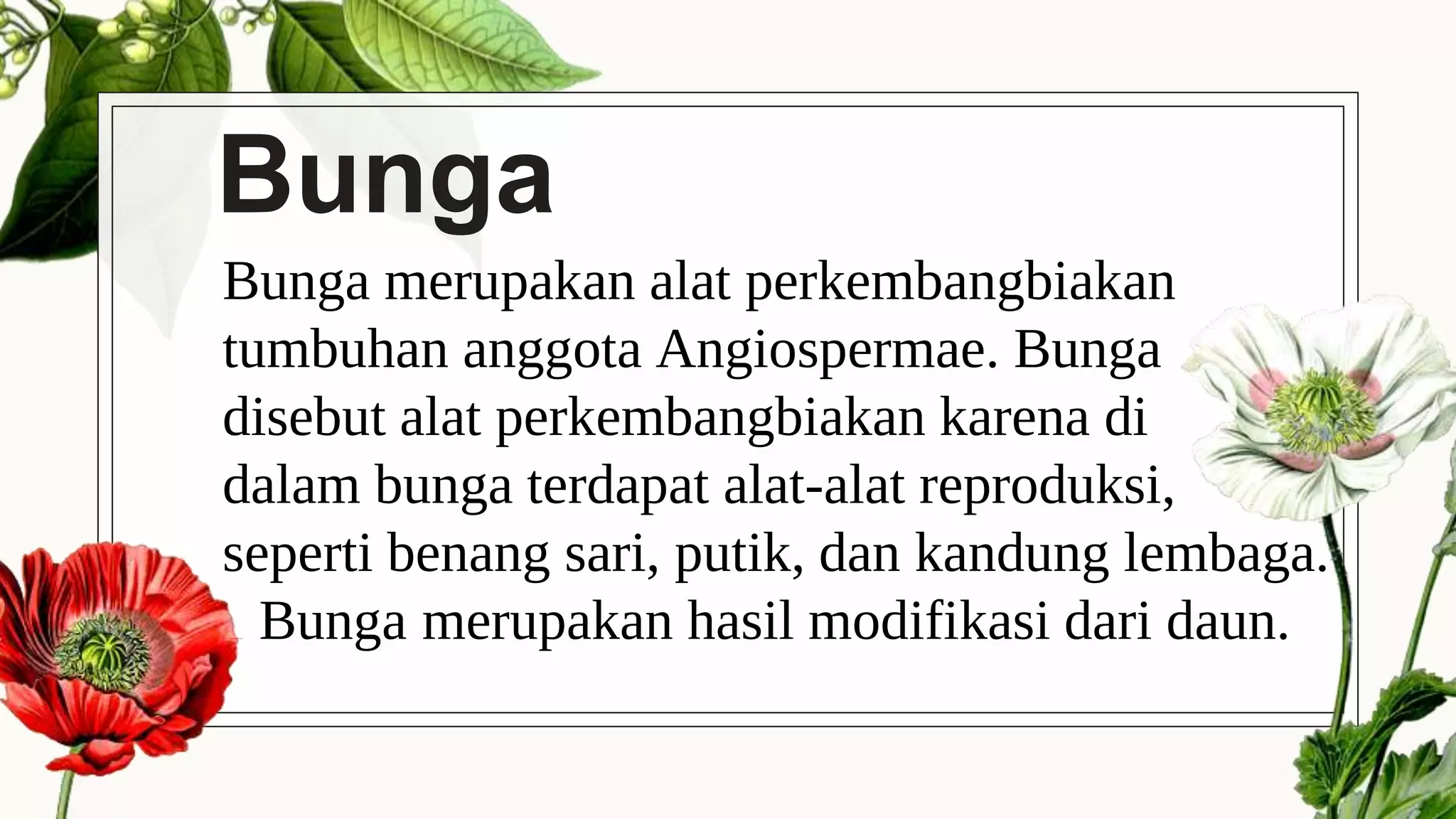 Struktur Dan Fungsi Bunga | PPTX