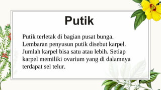 Struktur Dan Fungsi Bunga | PPTX