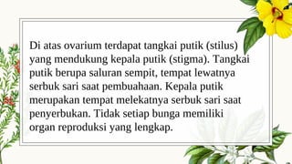 Struktur Dan Fungsi Bunga | PPTX