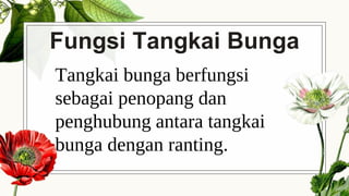 Struktur Dan Fungsi Bunga | PPTX