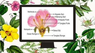 Struktur Dan Fungsi Bunga | PPTX
