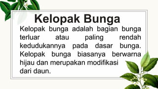 Struktur Dan Fungsi Bunga | PPTX