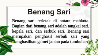 Struktur Dan Fungsi Bunga | PPTX