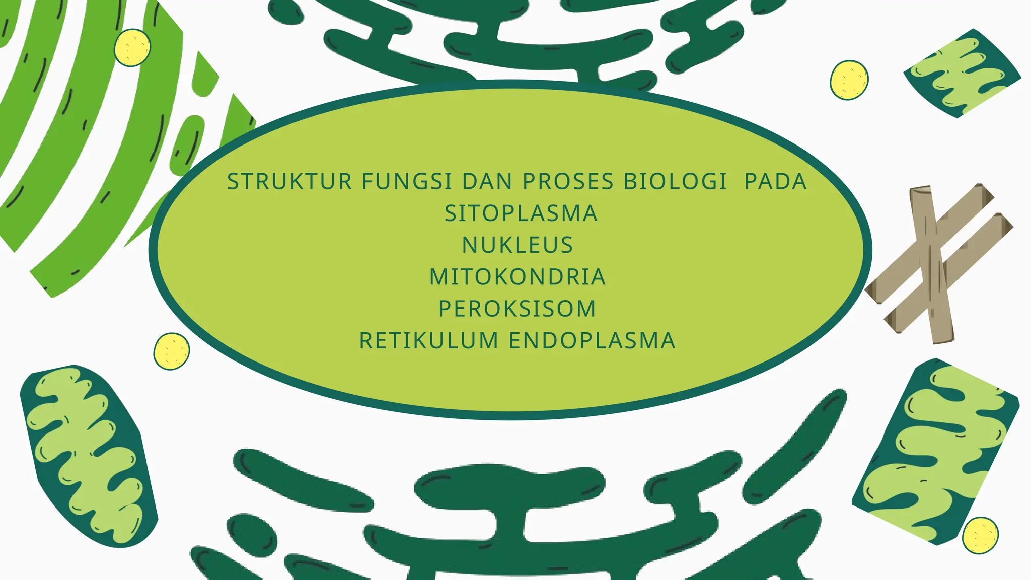 struktur fungsi dan proses biologi pada sitoplasma nukleus mitokondria ...
