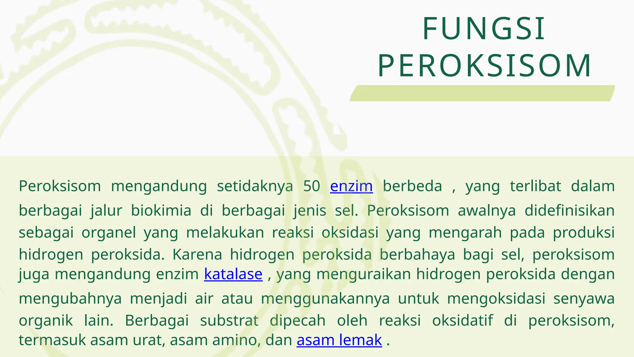 struktur fungsi dan proses biologi pada sitoplasma nukleus mitokondria ...